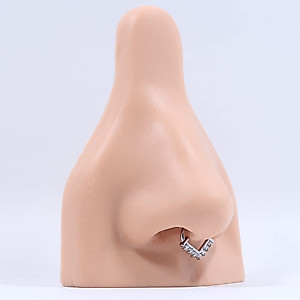 FANSING 316L Surgical Steel Septum Jewelry 16g 8mm CZ Septum Rings for Women 16 Gauge Teardrop Septum Piercing Jewelry Cubic Zirconia Daith Earring Hoop