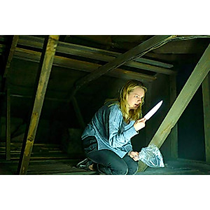 The Invisible Man (2020) [DVD]