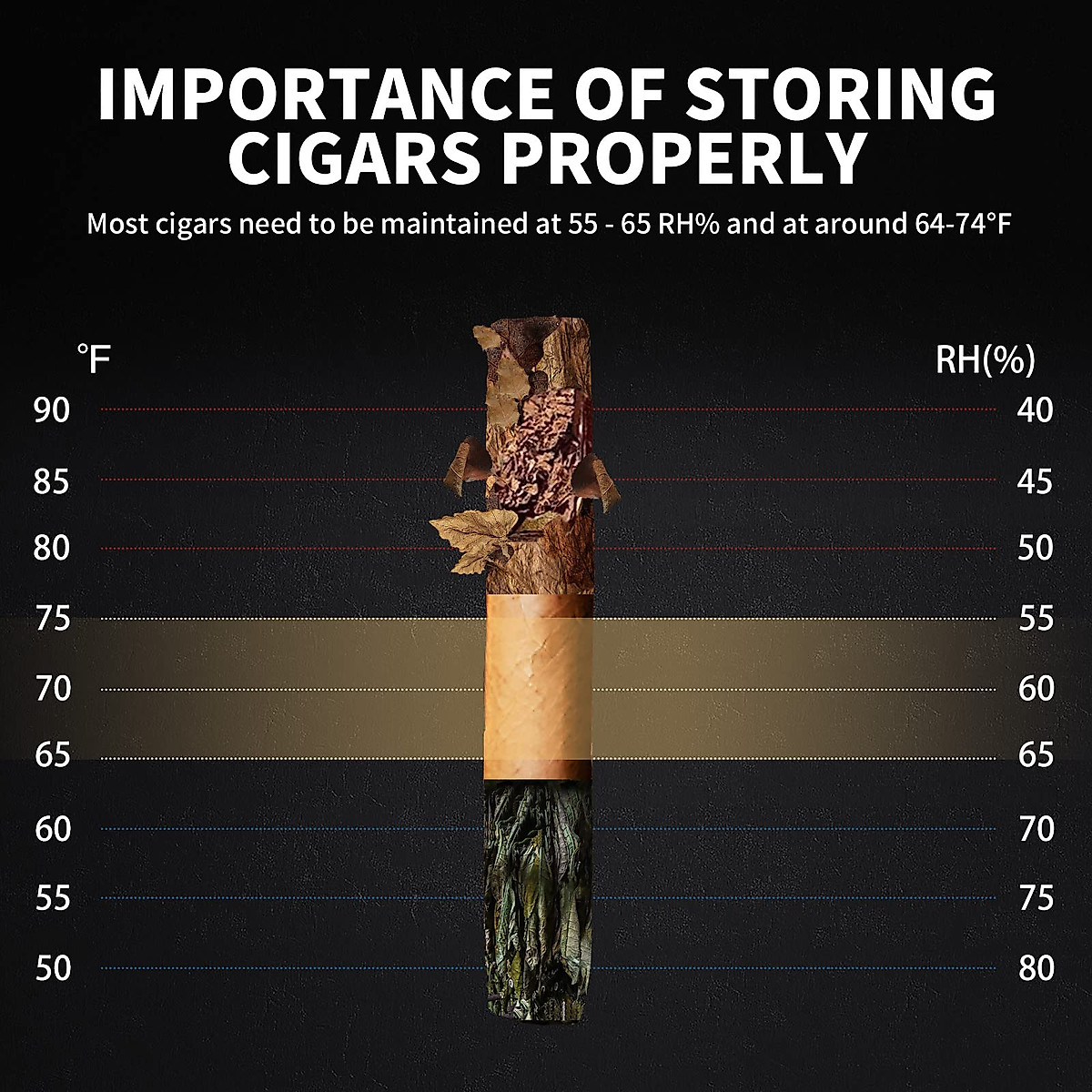 NEEDONE Humidor 23L with Cooling and Heating Temperature Control System, Electric Cooler for 150 Counts with Digital Hygrometer, Made with Spanish Cedar Wood, Gift for Men, 3 Layers