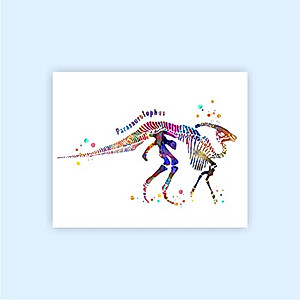 Dignovel Studios Unframed (Set of 6) 8X10 T Rex Stegosaurus Triceratops Pterodactylus Parasaurolophus Spinosaurus Watercolor Dinosaur Skeleton Nursery Decor dnc2