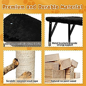 COZIWOW 5 Pcs Wall-Mounted Cat Climber Set with Cat Shelves and Perches, Ladder, Cat Condo House, Scratching Board and Cat Tree, Cat Wall Shelves Furniture, Wood Indoor,Black