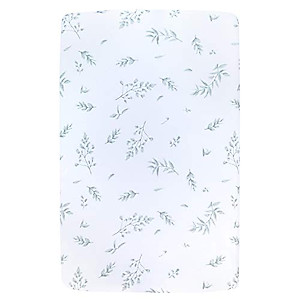 Adrienne Vittadini Bambini Jersey Cotton Pack N Play Sheet 1 Pack Green Fern Print, Sage