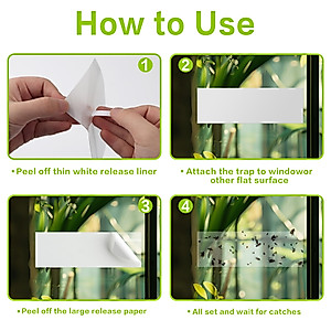 Landisun Fly Trap Indoor Fruit Fly Traps for Indoor Window-Fly Traps Fly Paper Sticky Strips 30 Pack
