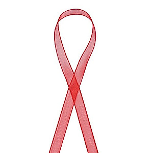 Pandahall 500Yards Sheer Lithe Organza Ribbon 1/4 Inch Wide Transparent Chiffon Ribbon for Wrapping Wedding DIY Decoration (Red)