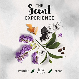 Herbal Essences, Shampoo and Conditioner Kit With Natural Source Ingredients, Color Safe, BioRenew Detox Charcoal, 13.5 fl oz, Kit