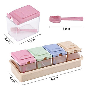 Latauar Clear Seasoning Box and Container with Cover and Spoon, Four Compartment Spice Shaker Jars and Pots, Condiment Cruet Bottle and Storage Organizer Kitchen Supplies, 24×8.6×10.2 cm