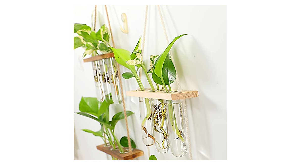 Stylish Wall Hanging Planter with 9 Test Tubes