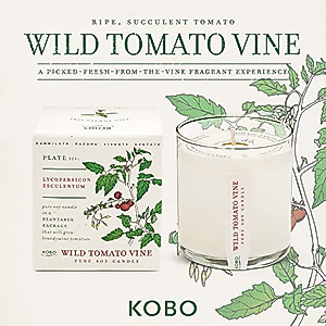 KOBO Wild Tomato Vine Candle with Plantable Box (9 oz) | Plant The Box Collection, 100% Pure Soy Wax Candles | Hand-Poured in USA | Long Lasting 60 Hour Burning Candles | Scented Candles for Home