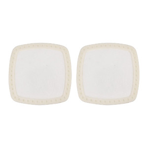 MOTOALL A226002160 Air Filter for Echo PB2520 PB-2520, 2 Pcs