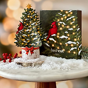 Freshcut Paper Pop Up Cards, Merry Mini Tree, 7 inch Mini Sized Paper Christmas Tree 3D Popup Greeting Cards, Christmas Card, Holiday Card, Blank Notecards & Envelopes, Pack of 5