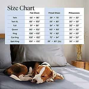 LuxClub 6 PC Queen Sheet Set, Bamboo Sheets Queen Size, Deep Pockets 18" Eco Friendly Wrinkle Free Cooling Bed Sheets Machine Washable Hotel Bedding Silky Soft - Light Grey Queen