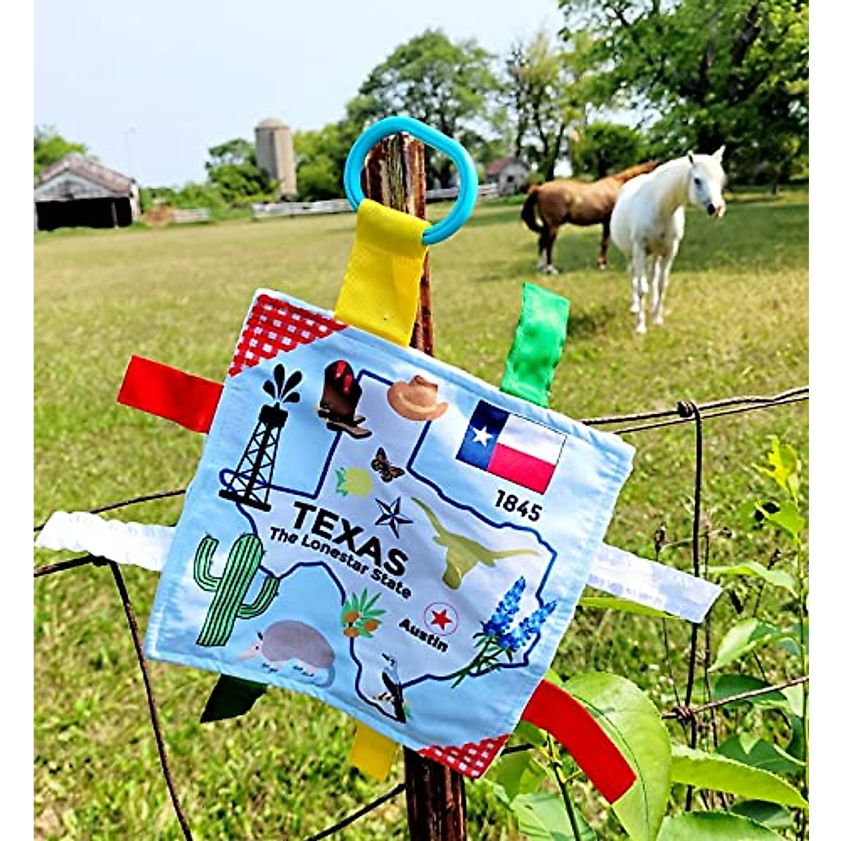 Baby Jack & Co 8x8” Learning Lovey Tag Toys for Babies - Baby Crinkle Toys - Crinkle Toys for Baby - Soft & Safe - Learn USA State Facts - Ideal Baby Toy BPA Free w/Stroller Clip (Texas)