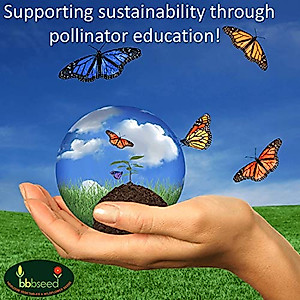 "Super Greens" Seeds for Planting, Organic Non-GMO Garden Vegetables, Arugula, Beets, Kale, Mesclun, Chard, Mustard, Spinach, BBB Seed