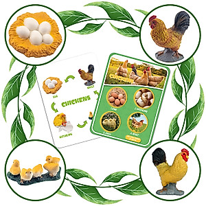Life Cycle Figures of Frog, Chicken, Sea Turtle, Butterfly, Wasp, Locust, Science Toys kit, Animal Figures for Kids Age 3-12