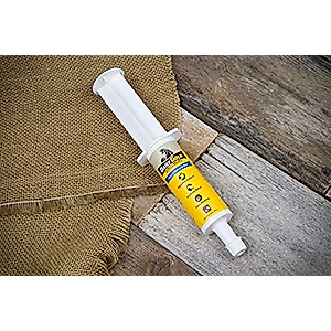 REDMOND Daily Gold Syringe Natural Healing Clay for Gastric Ulcers in Horses (Stress Relief Pre-Race Paste) (Single Pack)