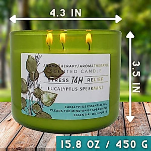Stress Relief Aromatherapy Candles Eucalyptus Spearmint Scented Candle | 15.8 oz Soy Candles for Home | Decorative Candles Long Lasting 3 Wick Candle