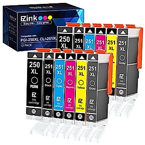 E-Z Ink (TM) Compatible Ink Cartridges Replacement for Canon 250 251 PGI-250XL CLI-251XL to use with Pixma MG6320 MG7120 MG7520 IP8720 (12 Pack, 2 PGBK, 2 Cyan, 2 Magenta, 2 Yellow, 2 Black, 2 Gray)