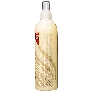 Wet N Wavy Detangiling Spray Bonus, 12 Ounce
