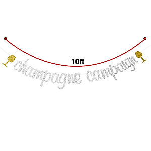 Champagne Campaign Banner - Bubbly Bar, Mimosa, Birthday, Bachelorette, Wedding, Bridal Shower, Momosa, Engageme Party Decorationsnt Party Silver Glitter
