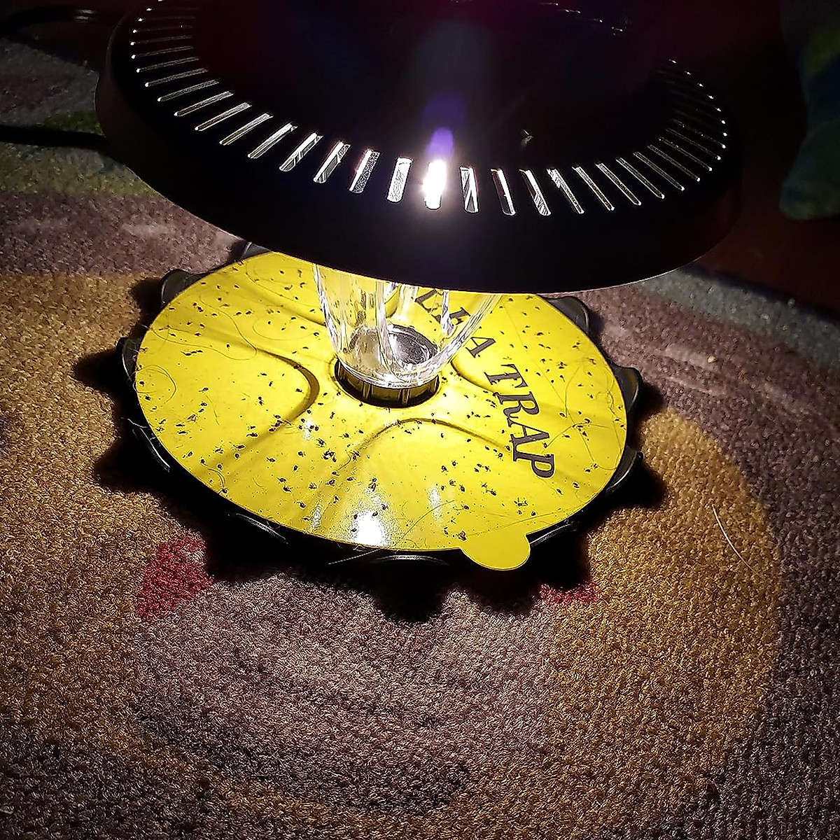 Flea Trap for Inside Your Home Indoor Electric Flea Light Catcher and Killer for House 2 Pack with 8 Sticky Pads Refills and 4 Replacement Lightbulbs