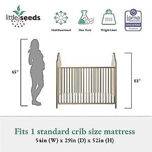 Little Seeds Piper Upholstered Metal Crib, Gold