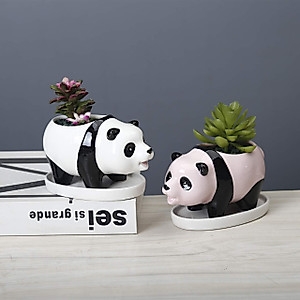 Gemseek Cute Panda Succulent Planter Pot with Drainage Tray, White Ceramic Flower/Cactus Holder, Animal Bonsai Container for Indoor Plants
