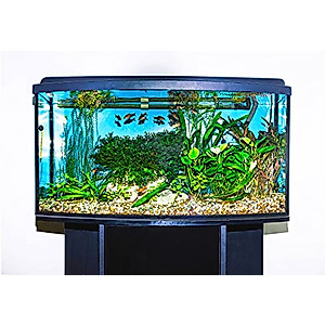Gulfstream Tropical AGU030SM Mag-Float Glass Aquarium Cleaner, Small