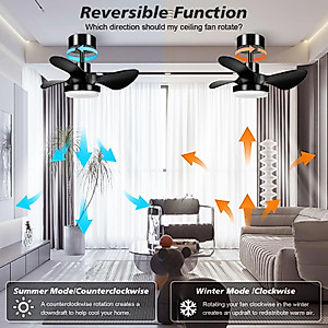 Black Ceiling Fans with Lights and Remote, 25 Inch Indoor Outdoor Dimmable Ceiling Fans with Light, 3 Blades Modern Ceiling Fan Light with DC Motor for Bedroom, Living Room, Kitchen, Office