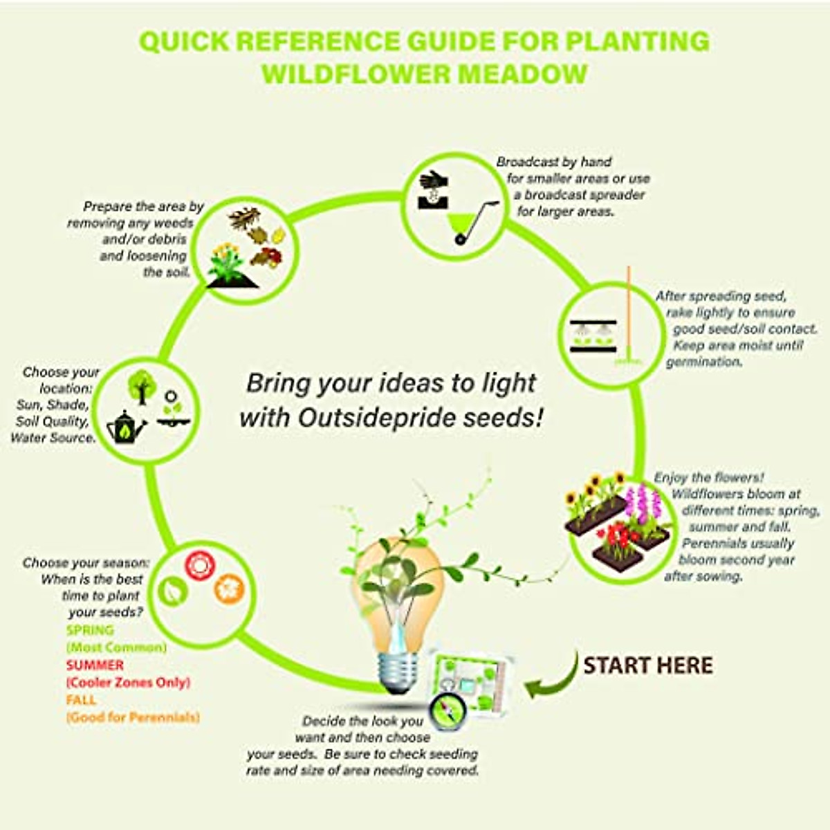 Outsidepride Tagetes Patula Outback French Marigold Garden Pollinator Flowers & Butterfly Attractant - 250 Seeds