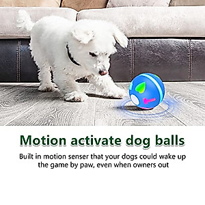 AUKL Interactive Dog Toys Wicked Ball Self Moving Motion Activated Ball