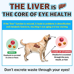 Doctor By Eyes Supplement for Dogs and Puppy – Tear Stain Remover Vision Support with Lutein & Omega-3 + Milk Thistle Duck Flavored Soft Chews - 82 oz (80g), 70 Brown…