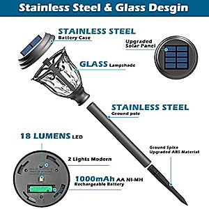 LeiDrail Solar Pathway Lights Outdoor with Glass Stainless Steel 2 Modes Bright Landscape Lighting Waterproof Cool White/Warm White for Yard Garden Sidewalk Lawn Driveway (8 Pack)