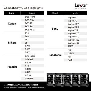 Lexar 128GB (2-PK) Professional SILVER PRO SDXC Memory Card, UHS-II, C10, U3, V60, Full-HD & 4K Video, Up To 280MB/s Read, for Professional Photographer, Videographer, Enthusiast (LSDSIPR128G-B2NNU)