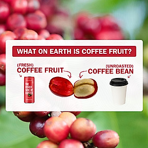 The Other Side of Coffee – Upcycled Coffee Fruit Juice Drink, Non-Carbonated, Antioxidant Rich, Low Caffeine (30mg), Low Calorie, Low Sugar, 100% Natural, 12 Fl Oz, Berry Flavor (Pack of 12)