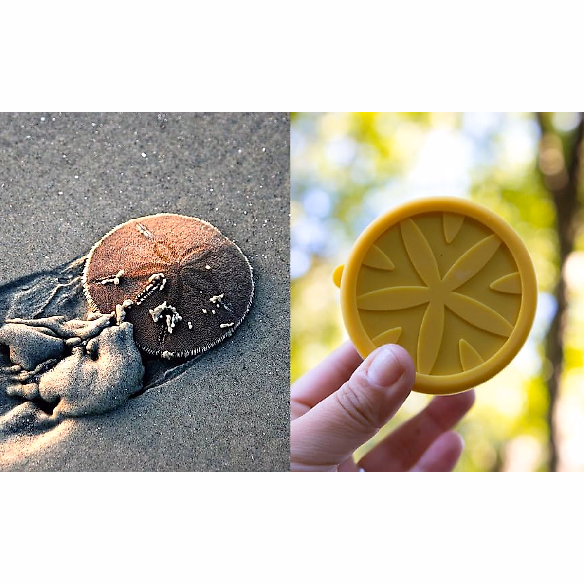 Ecolunchbox Seal Cup Mini | Stainless Steel Leak-Proof Seal Cup | Food Container with Silicone Lid, Holds 3oz (equivalent to 90 ml) | 2.6 inches Round by 1.5 inches Tall (6.6 cm Round x 3.8 cm Tall)