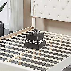 SunsGrove Queen Bed Frame, Velvet Upholstered Platform Bed with Curved Button Tufted Headboard with Nailhead Trim, Solid Wooden Slats Support, No Box Spring Needed, Beige