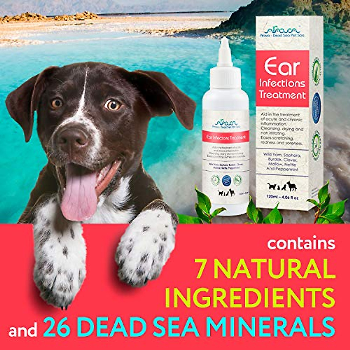 Arava Dog Ear Infection Treatment - First Aid in Acute & Chronic Inflammations - Anti Itch Effective Ear Cleaner - Pet Otic Ear Care Solution