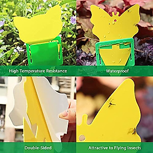 BUGKILLER 30PCS Yellow Fruit Fly Traps for Indoors, Fungus Gnats Sticky Traps for Plants, Gnat Traps for House Indoor, Used for Mosquitoes, Whiteflies, Thrips, Leaf Miners...(Non-Toxic, Dual Sided)