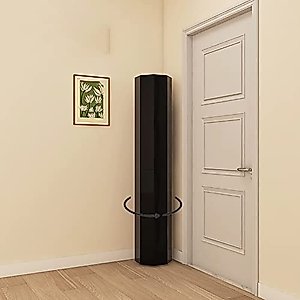 Shoe Rack, Shoes Organizer Cabinet, Metal Rotating Shoe Cabinet, Closed Vertical Round Shoe Rack With Door, Portable Shoe Rack Organizer Storage Simple And Modern For The Entrance ( Color : Black , Si
