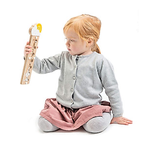 Tender Leaf Toys - Rainmaker - Portable Rain Sound Making Toy, Early Education Musical Instruments for Baby and Kids, Sensory Toy with Falling Beads - Age 18m +
