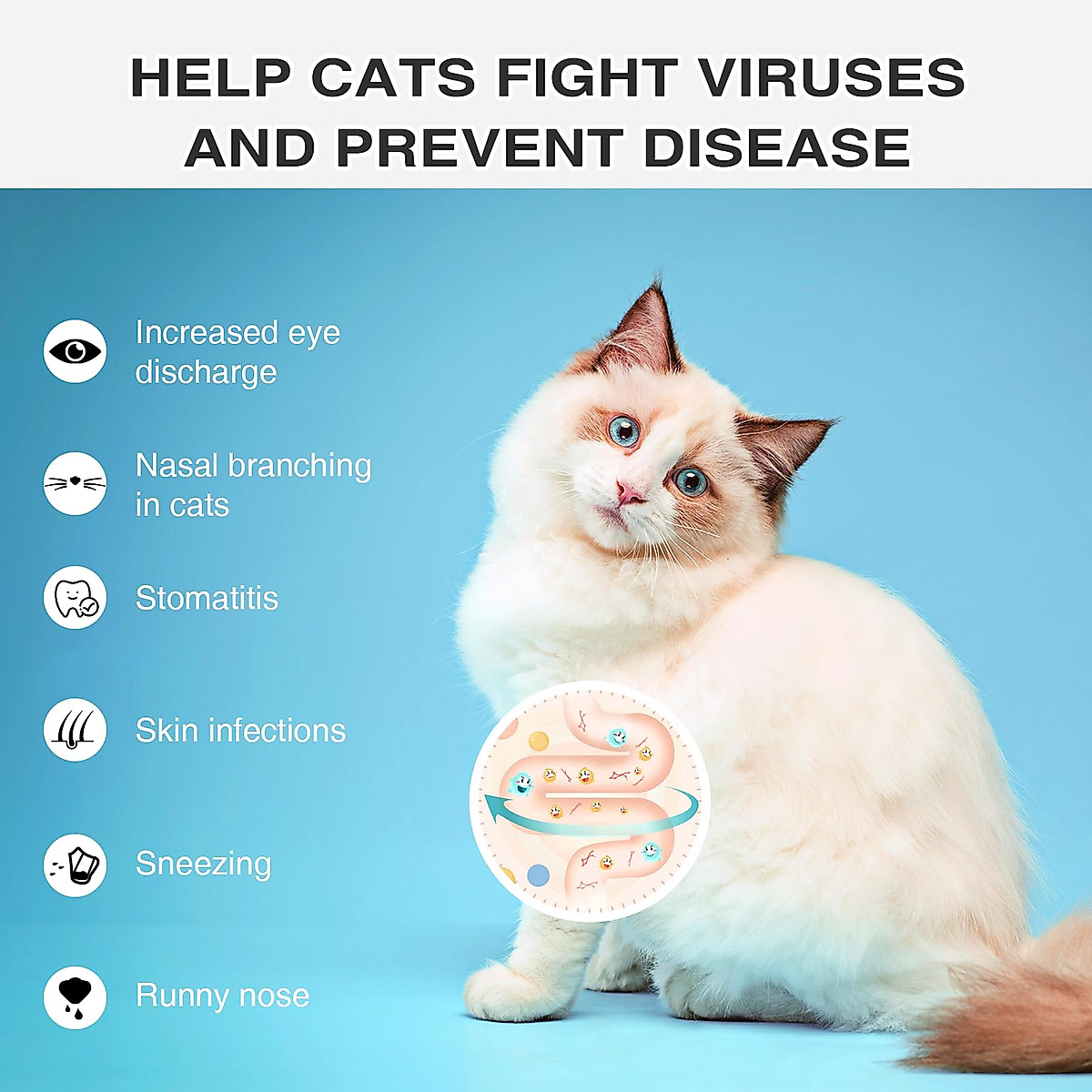 BLUERISE Cat Lysine Supplement Gel, 5oz - Support Feline's Immune System and Respiratory Health, Increased Eye Discharge, Nasal Branching in Cats, Stomatitis, Skin infections,Sneezing, Runny Nose