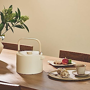 Dr.HOWS Goyo Electric Kettle Elegant and Stylish Design Teapot with Auto Shut-Off to Quickly Boil Water for Tea, Coffee (WHITE)