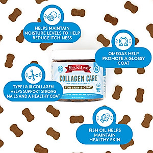 The Missing Link Collagen Care Skin & Coat Soft Chews 60ct - Daily Hair Growth, Healthy Skin & Strong Nails Support for Dogs