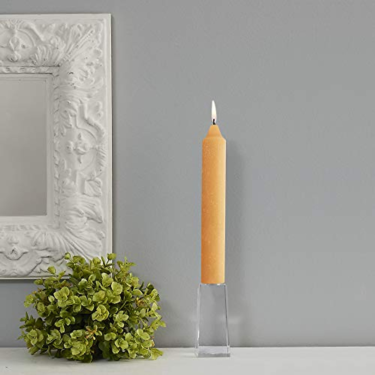 Root Candles Unscented Timberline Collenette 9-Inch Dinner Candles, 4-Count, Mandarin