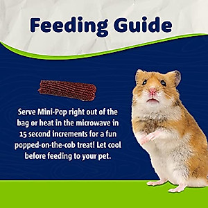 Vitakraft Mini Pops Treat for Small Animals - 100% Real Corn Cob - Supports Healthy Teeth - 1 lb