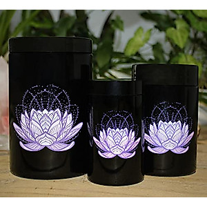 Shrub Club Smellproof Jar - Includes Airtight Black Glass Herb Storage Jar with Marker, Odor-Proof Bag & Humidity Pack (Lotus 250ml)