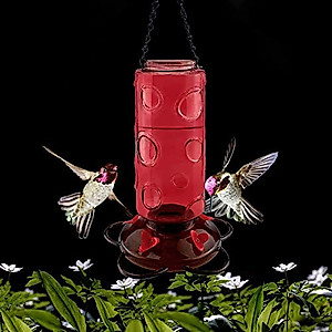 Urban Deco Large Capacity Hummingbird Feeders for Outdoors Hanging Wild Bird Feeders with 5 Nectar Bird Feeding Station 30 OZ Red Glass Bird Feeder - (Pack of 2)