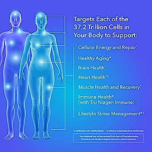 90ct/300mg Multi Award Winning Patented NAD+ Boosting Supplement - More Efficient Than NMN - Nicotinamide Riboside for Cellular Energy Metabolism & Repair. Vitality, Muscle Health, Healthy Aging