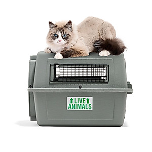 Petmate Sky Kennel - For Air and Travel, Airline Approved Dog Crate for Pets up to 15 lbs, Heavy Duty Dog Kennel, Made in the USA- 21 Inches