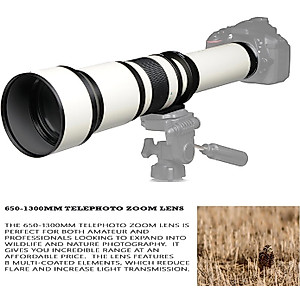 Canon EOS 5D Mark IV DSLR Camera w/ 24-105mm STM Lens + Canon EF 75-300mm III Lens, Canon 50mm f/1.8, 500mm Lens & 650-1300mm Lens + Deluxe Backpack + 128GB Memory + Monopod + Professional Bundle